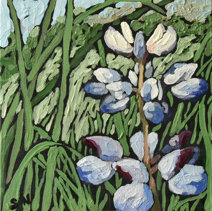 Lupins | Sarah Nemeth Artist